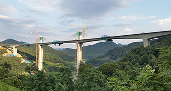 Bridge deck construction | VSL